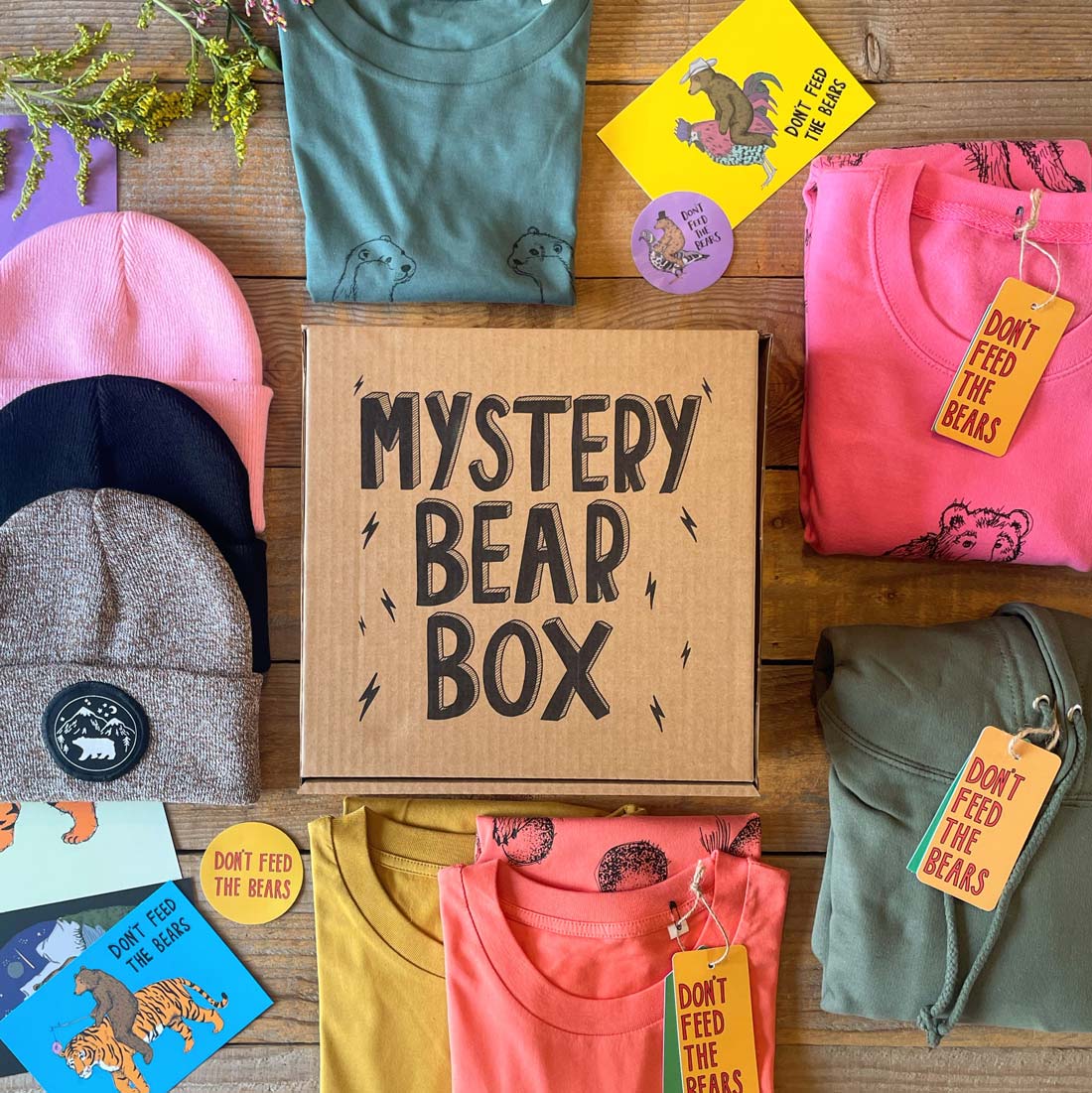 Kids Mystery Bear Box – Don't Feed the Bears